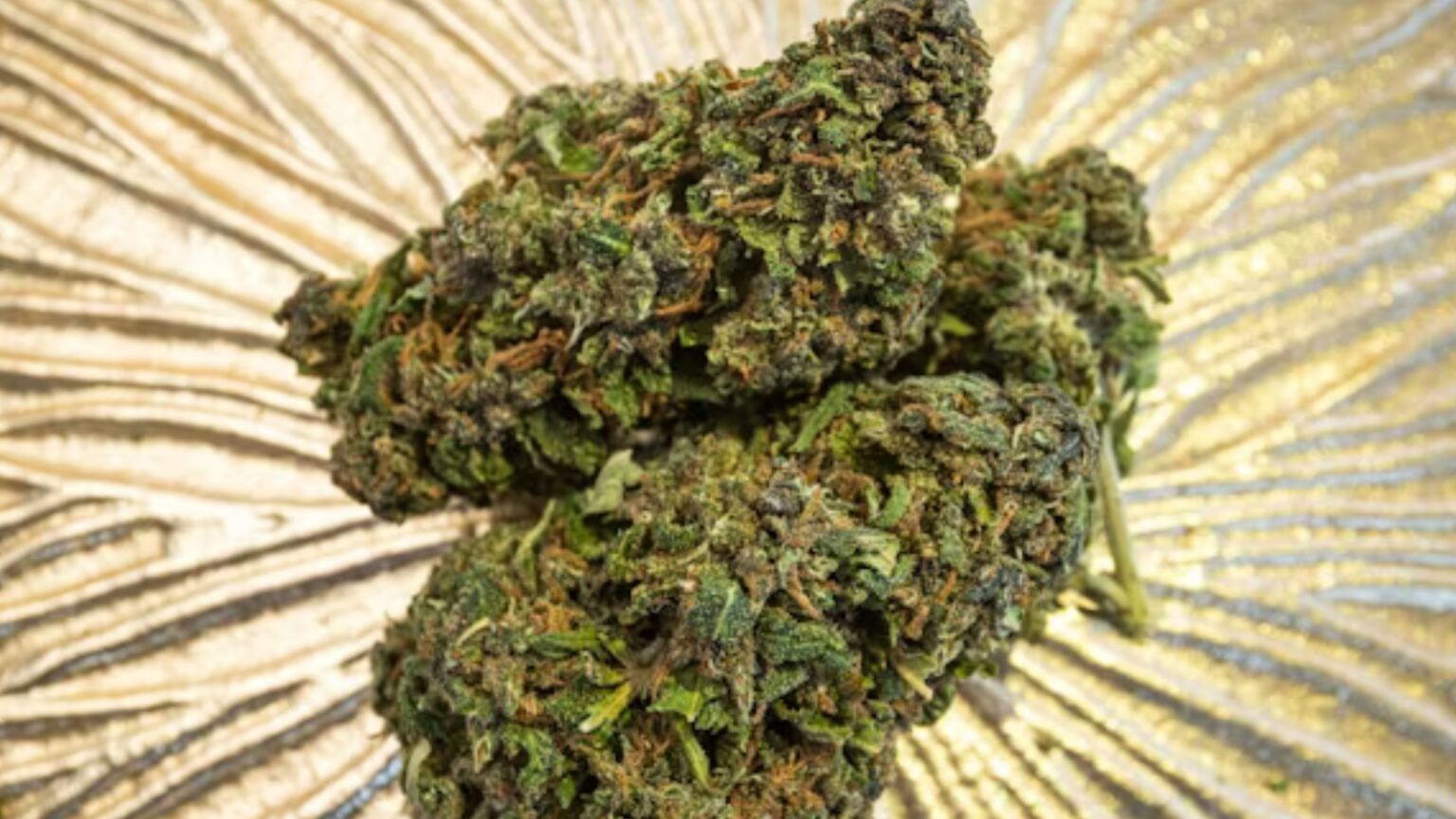 How OG Kush Strain Can Change the Way You Relax - Bigboxratio